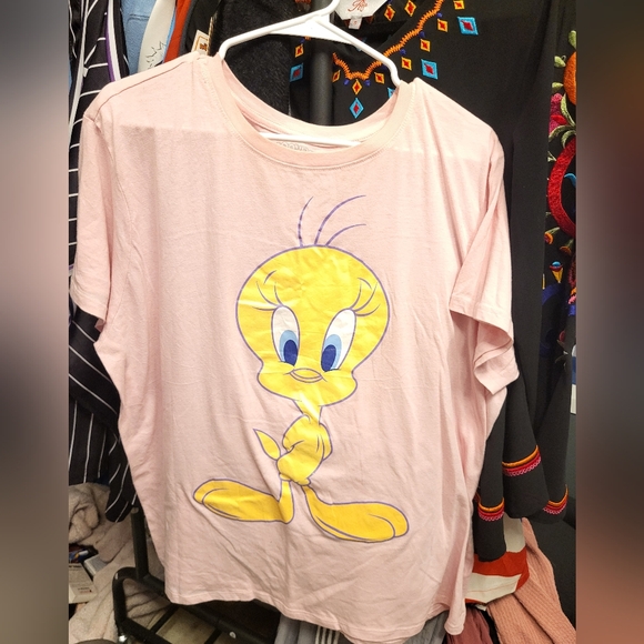 Warner Bros. | Tops | Looney Tunes Tweety Bird Tee Size 2x | Poshmark